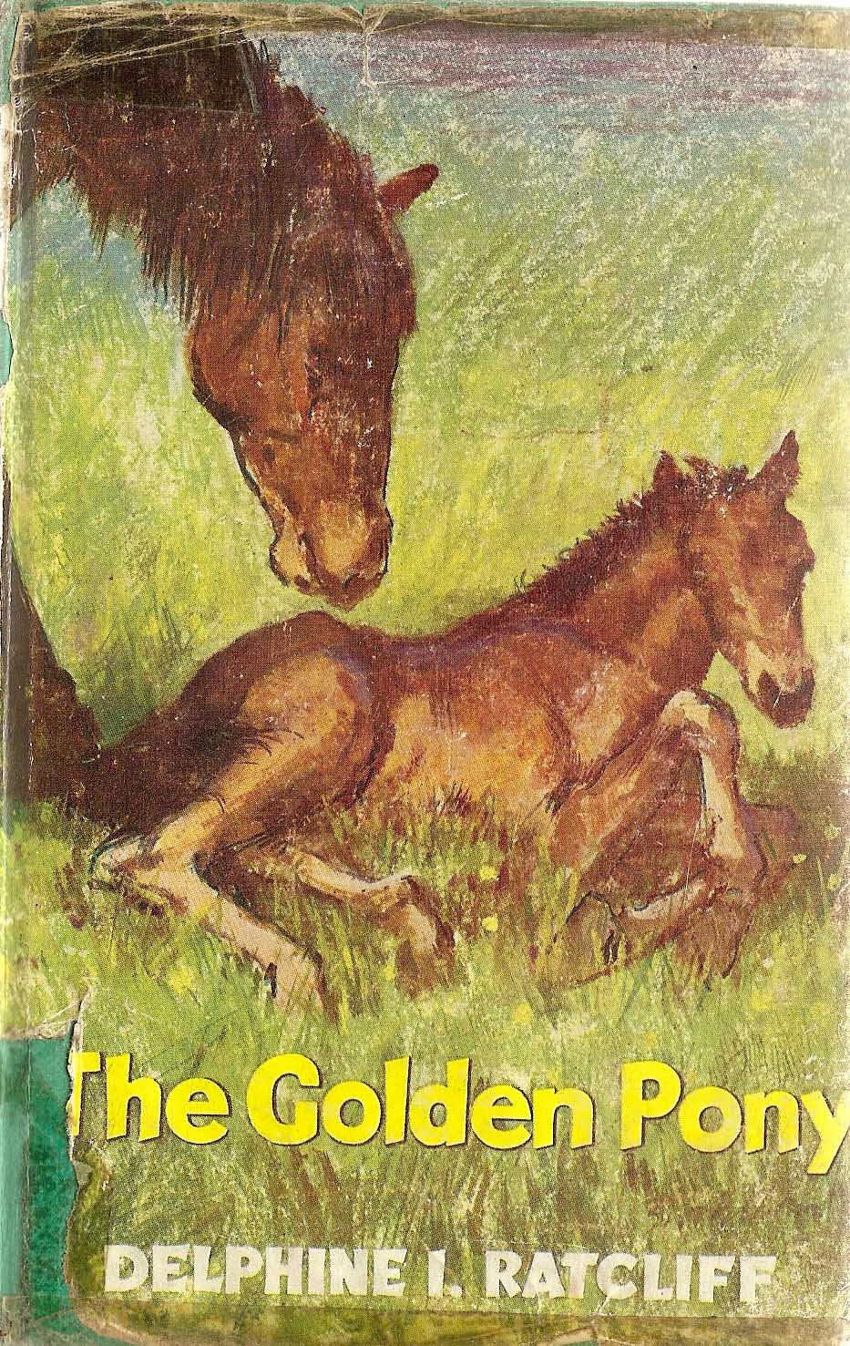 The 1960s pony book - Jane Badger Books