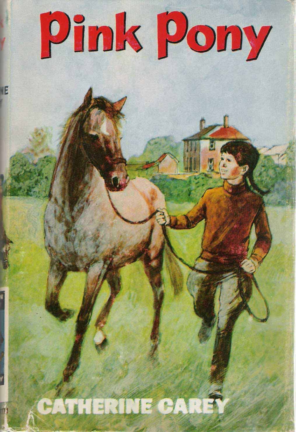 The 1960s pony book - Jane Badger Books