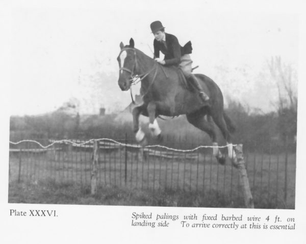 Jackie Hance: a remarkable child rider - Jane Badger Books