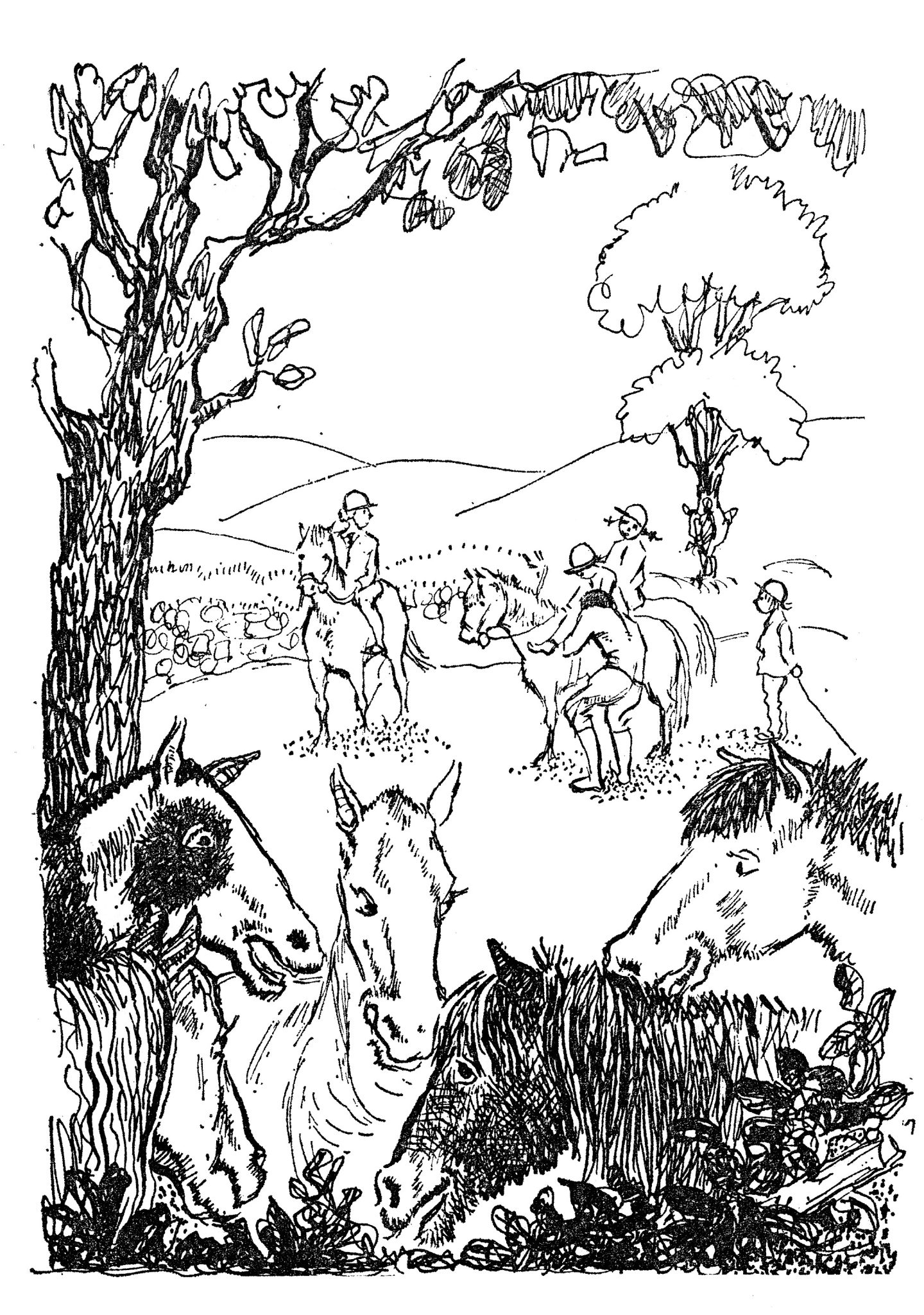 Morgan, Violet - Jane Badger Books