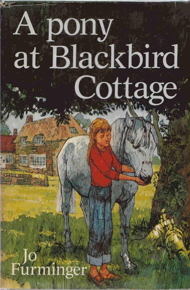 The 1980s and the pony book - Jane Badger Books