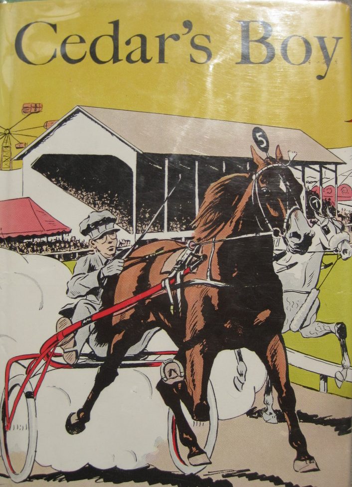 Meader, Stephen - Jane Badger Books